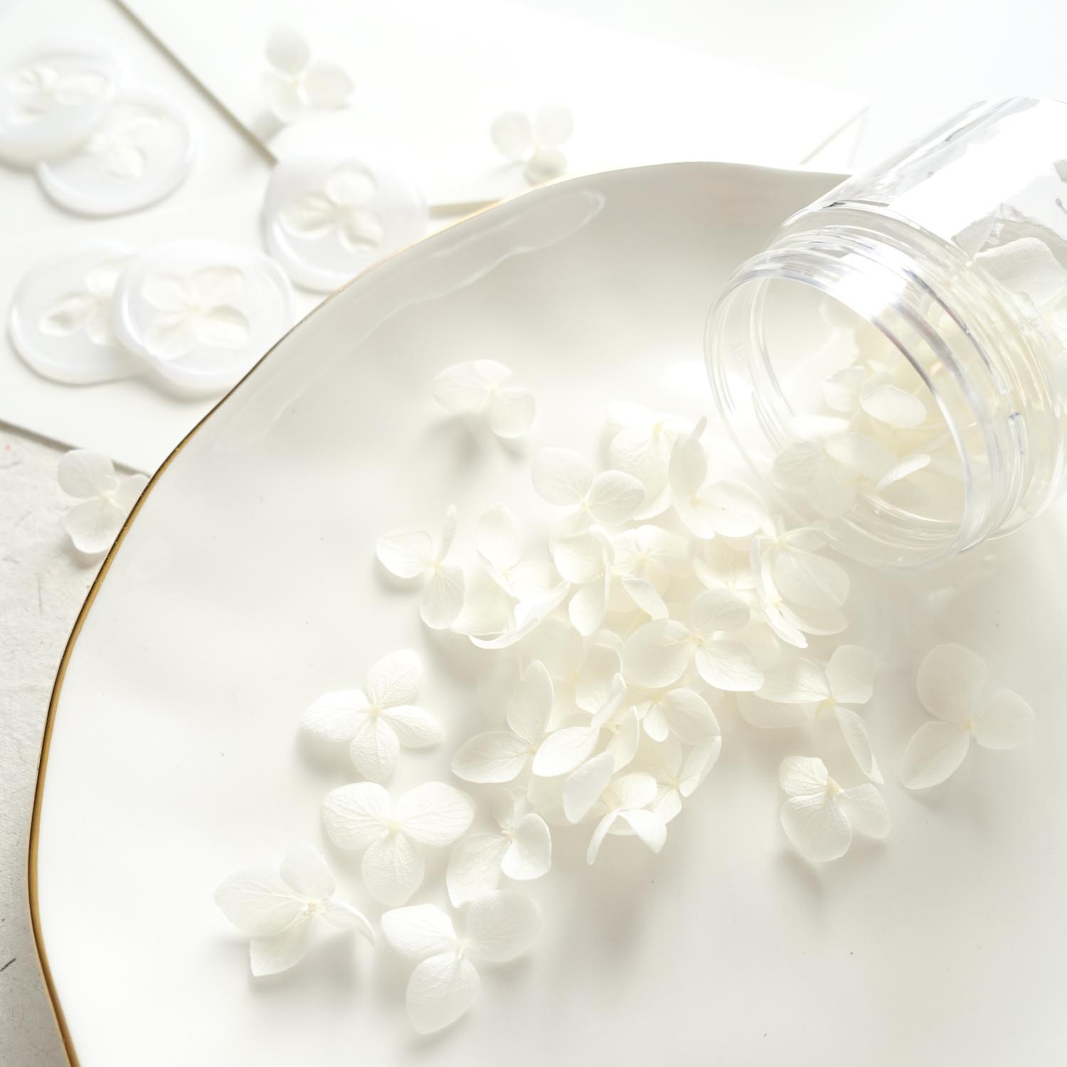White Dried Hydrangea Flower Petals