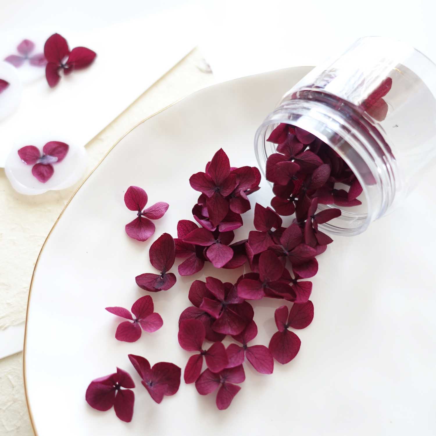 Wine Coloured Dried Hydrangea Flower Petals